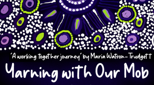 Positive Partnerships | Resources for First Nations People